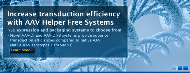 Life Science Research Products & Solutions - Cell Biolabs, Inc.